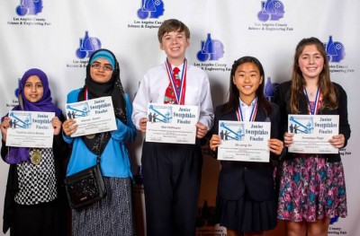 What Makes for a Successful Science Fair Exhibit? - Areteem Institute Blog